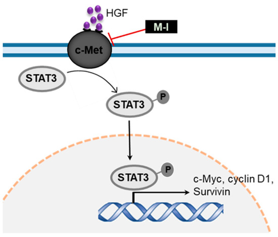 Momordicine-I, a Bitter Melon Bioactive Metabolite, Displays Anti-Tumor ...