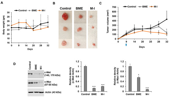 Momordicine-I, a Bitter Melon Bioactive Metabolite, Displays Anti-Tumor ...