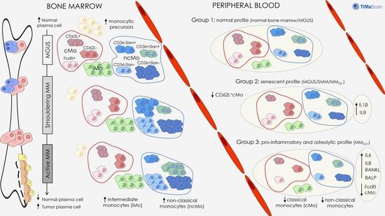 Cancers | Special Issue : Leukemia and Lymphoma Immunophenotyping