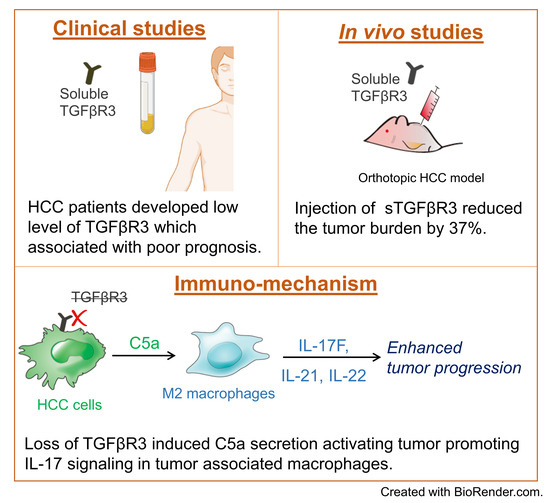 Cancers | Free Full-Text | Type III TGF-β Receptor Down-Regulation ...