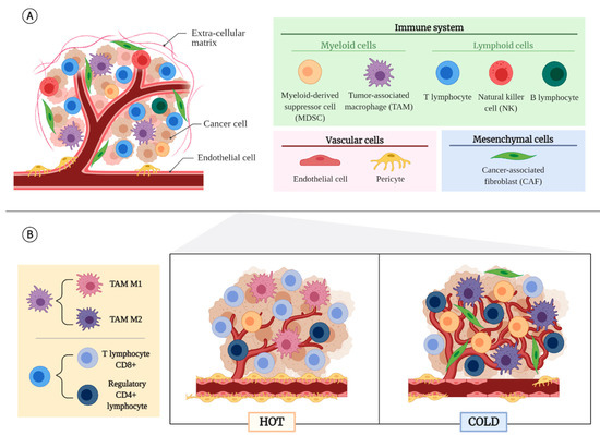Hot and Cold Tumors: Is Endoglin (CD105) a Potential Target for Vessel ...