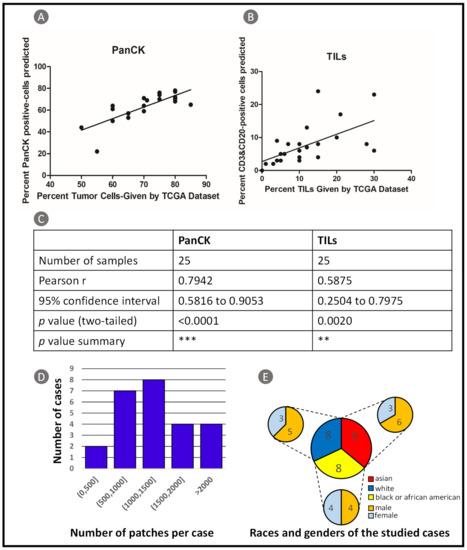 ImmunoAIzer: A Deep Learning-Based Computational Framework to Characterize Cell Distribution and ...