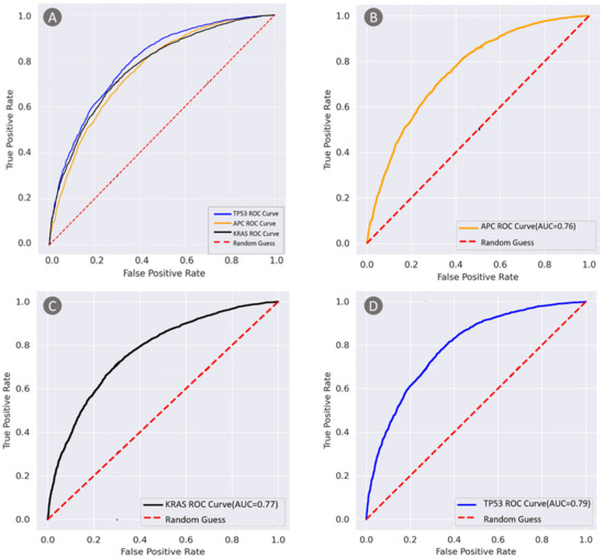 ImmunoAIzer: A Deep Learning-Based Computational Framework to Characterize Cell Distribution and ...