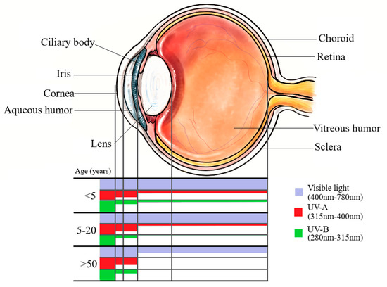 The Impact of Ultraviolet Radiation on the Aetiology and Development of ...