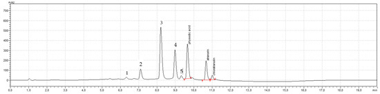 Permeability of Hypogymnia physodes Extract Component—Physodic Acid ...