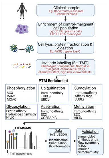 Current Methods of Post-Translational Modification Analysis and Their ...