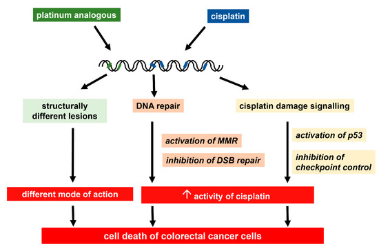 Platinum Complexes in Colorectal Cancer and Other Solid Tumors