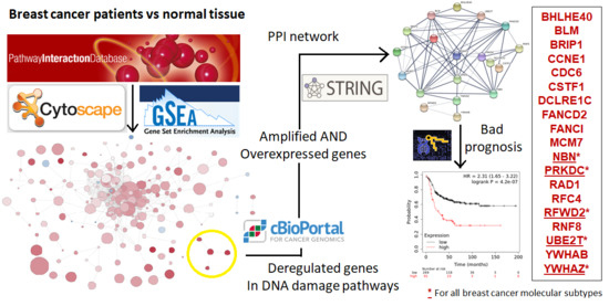 Cancers | Special Issue : Cancer Targets for Personalized Therapy