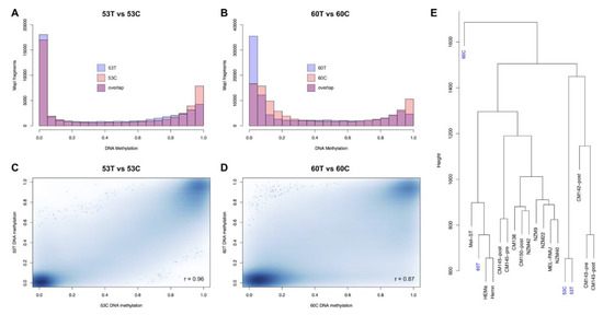 Cancers | Special Issue : Cancer Epigenomics: New Clinical ...