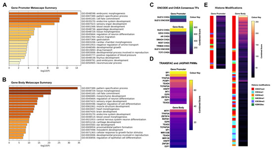 Cancers | Special Issue : Cancer Epigenomics: New Clinical ...
