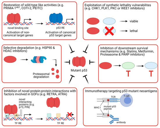The Role of p53 Signaling in Colorectal Cancer