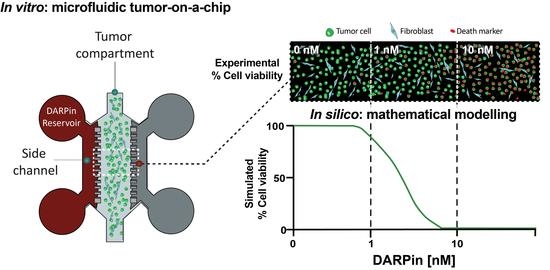 Cancers | Special Issue : Cancer-on-a-Chip: Applications and Challenges