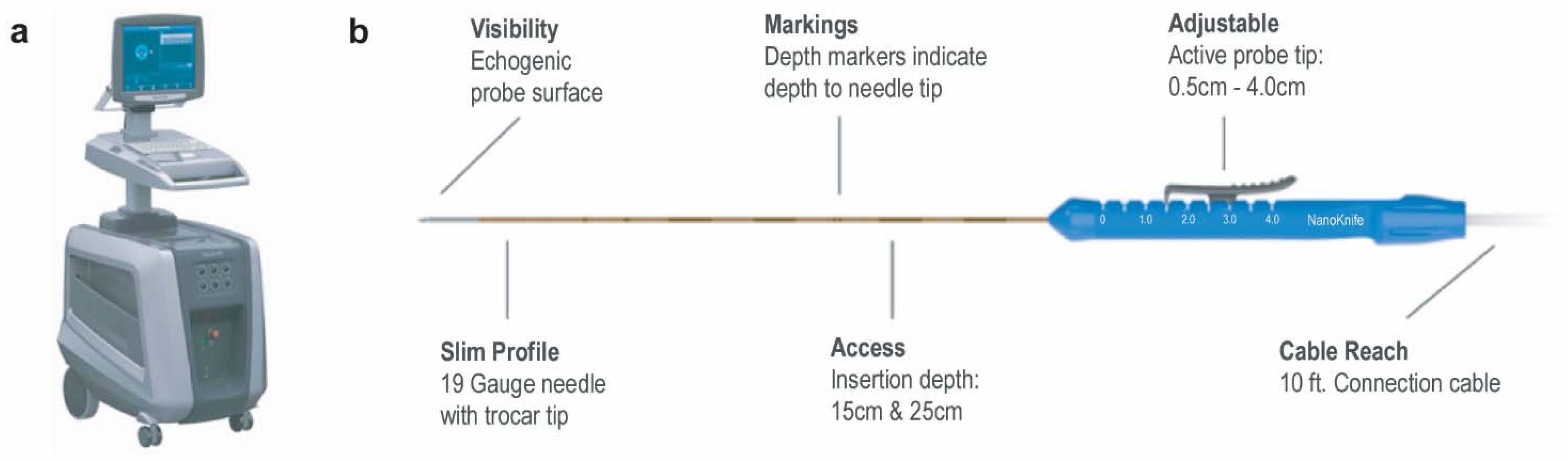 Ablation in Pancreatic Cancer: Past, Present and Future