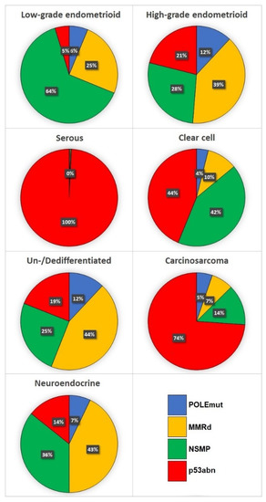 New Pathological and Clinical Insights in Endometrial Cancer in View of ...