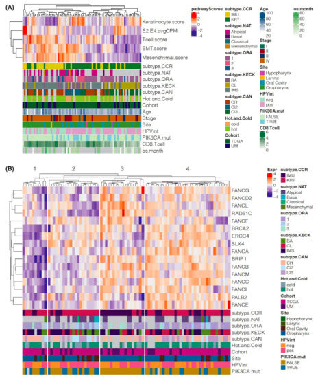 Molecular Tumor Subtypes of HPV-Positive Head and Neck Cancers ...