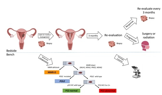 Cancers | Free Full-Text | Molecular Classification to Prognosticate ...