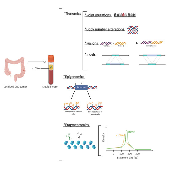 ctDNA to Guide Adjuvant Therapy in Localized Colorectal Cancer (CRC)