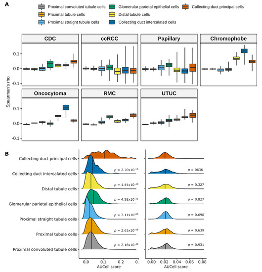 Cancers | Free Full-Text | Integrative Transcriptomic Analysis Reveals ...