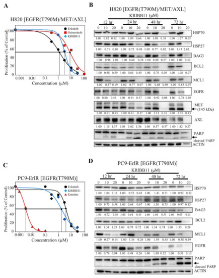 Targeting HSF1 as a Therapeutic Strategy for Multiple Mechanisms of ...