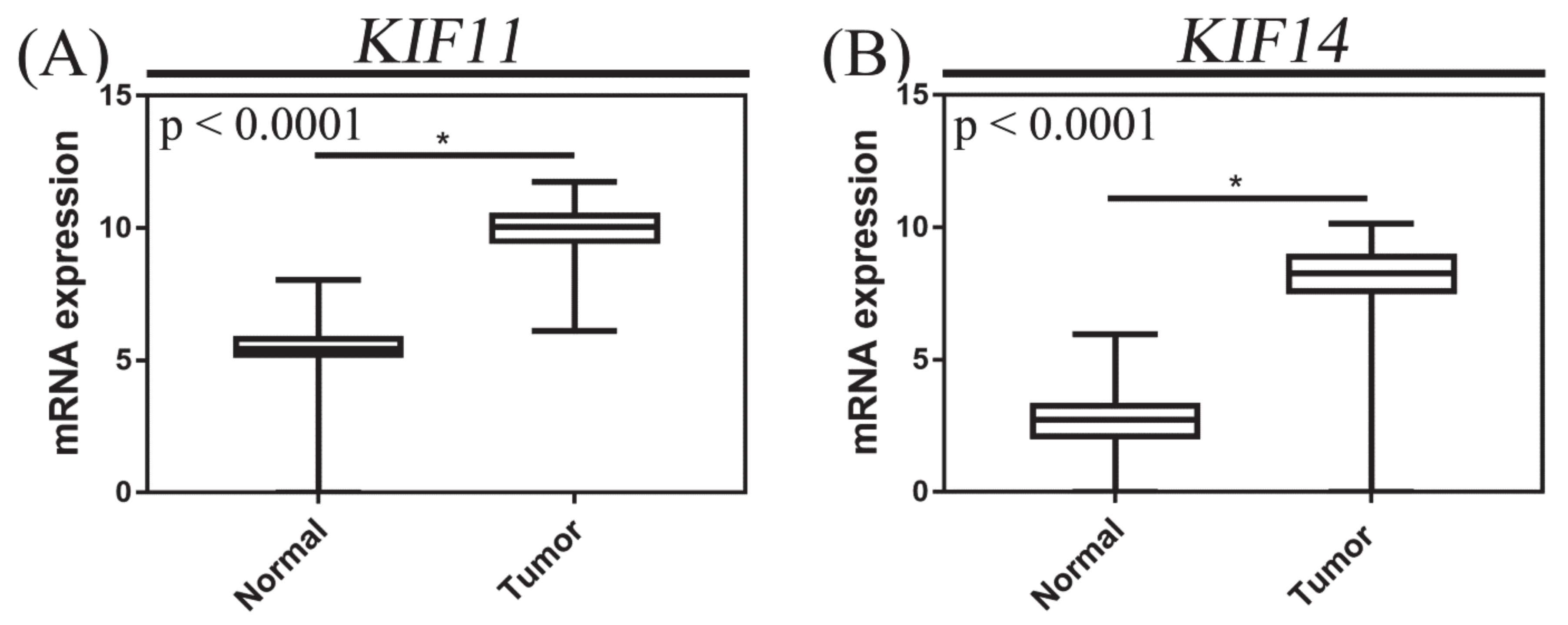 Prognostic Significance of KIF11 and KIF14 Expression in Pancreatic ...