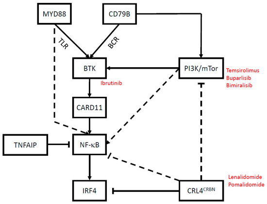 Targeted Therapies and Immune Checkpoint Inhibitors in Primary CNS Lymphoma