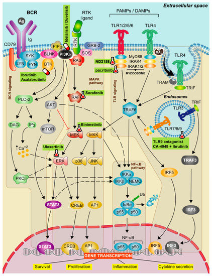 Challenges with Approved Targeted Therapies against Recurrent Mutations ...