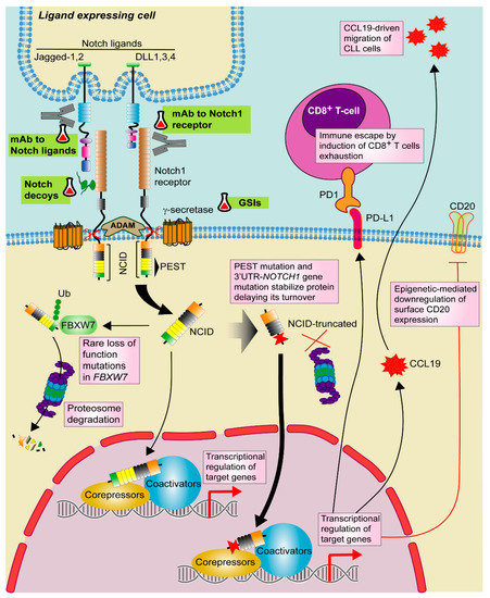 Challenges with Approved Targeted Therapies against Recurrent Mutations ...