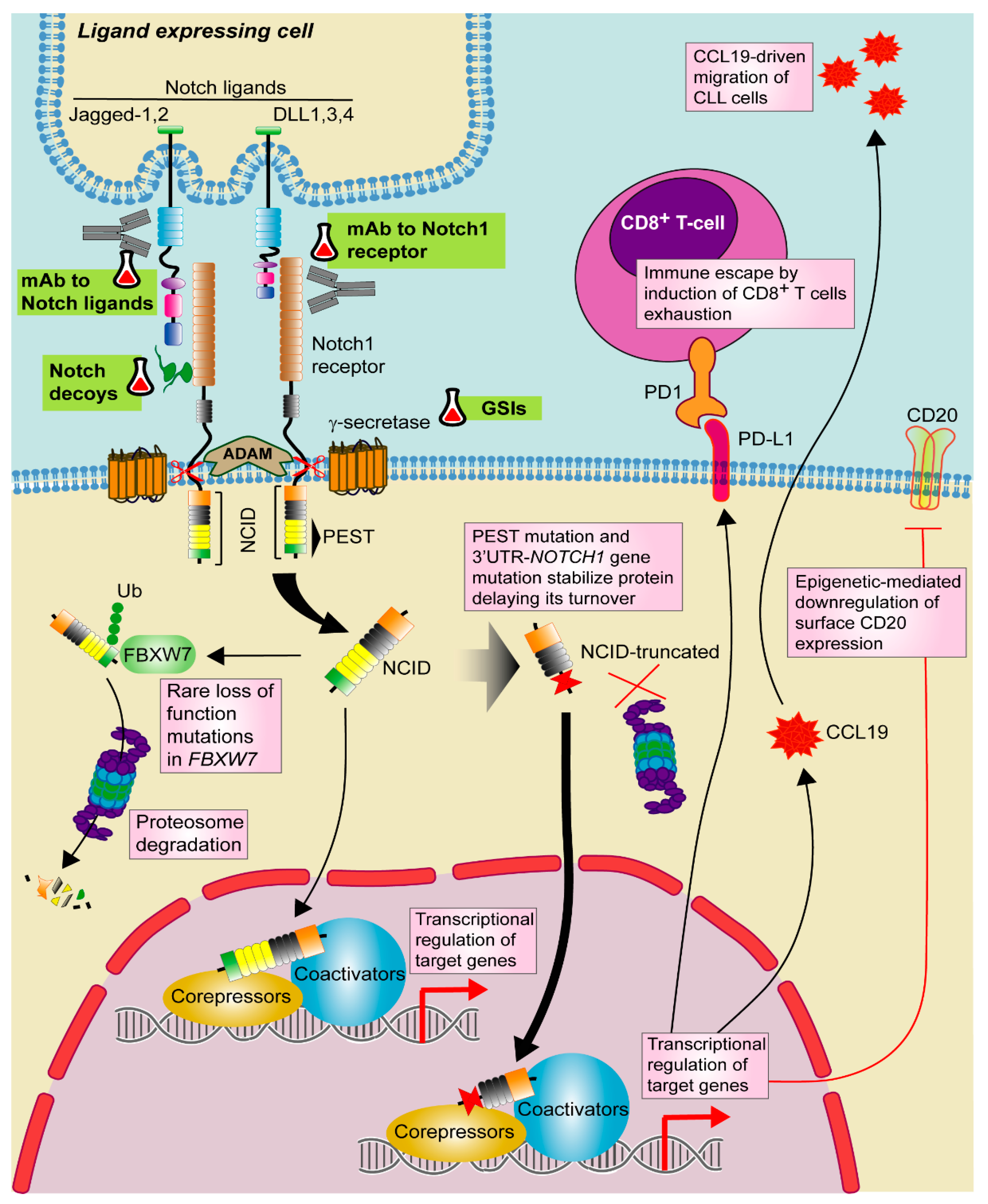 Challenges with Approved Targeted Therapies against Recurrent Mutations ...