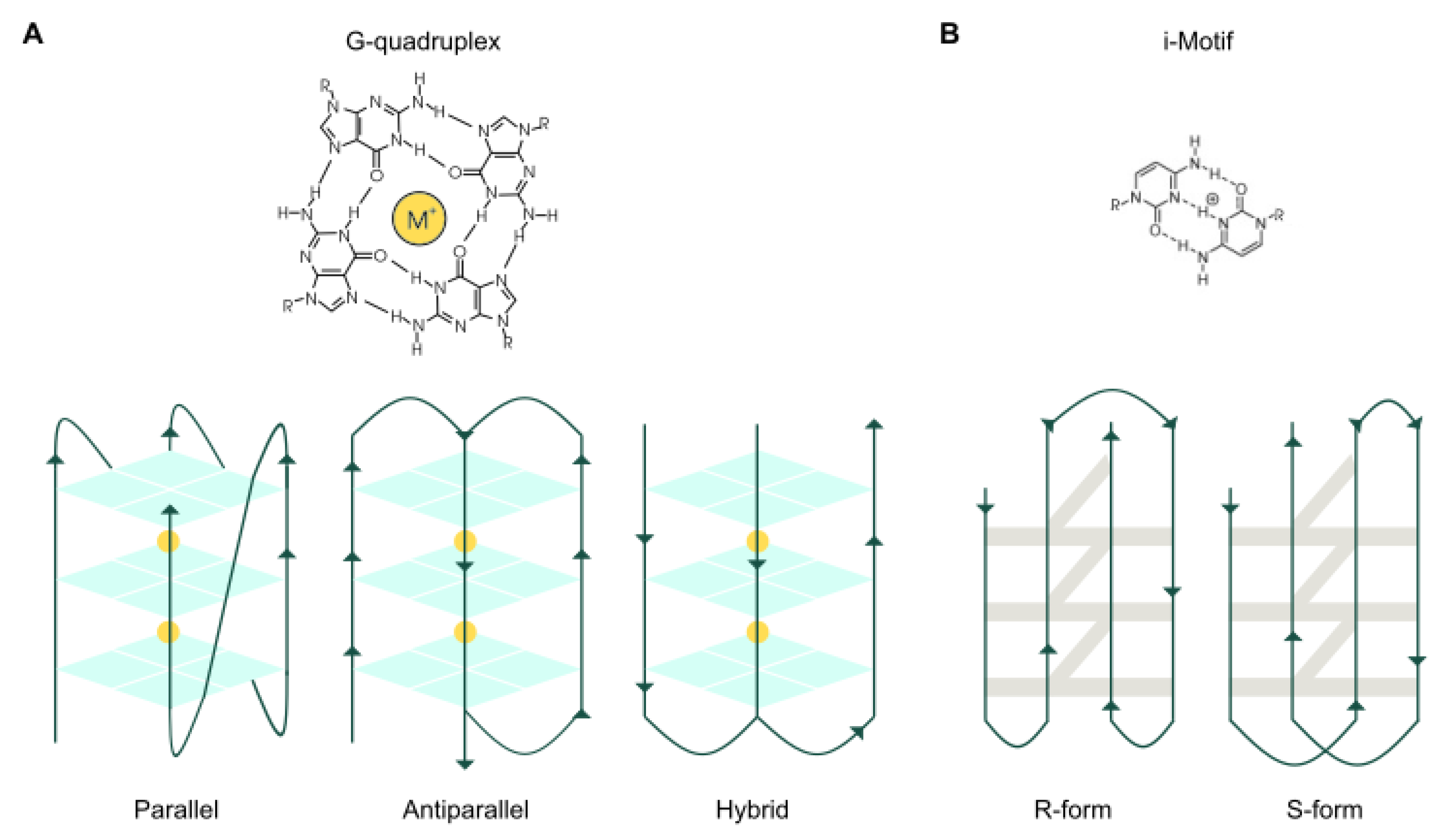 Quadruplex Ligands in Cancer Therapy