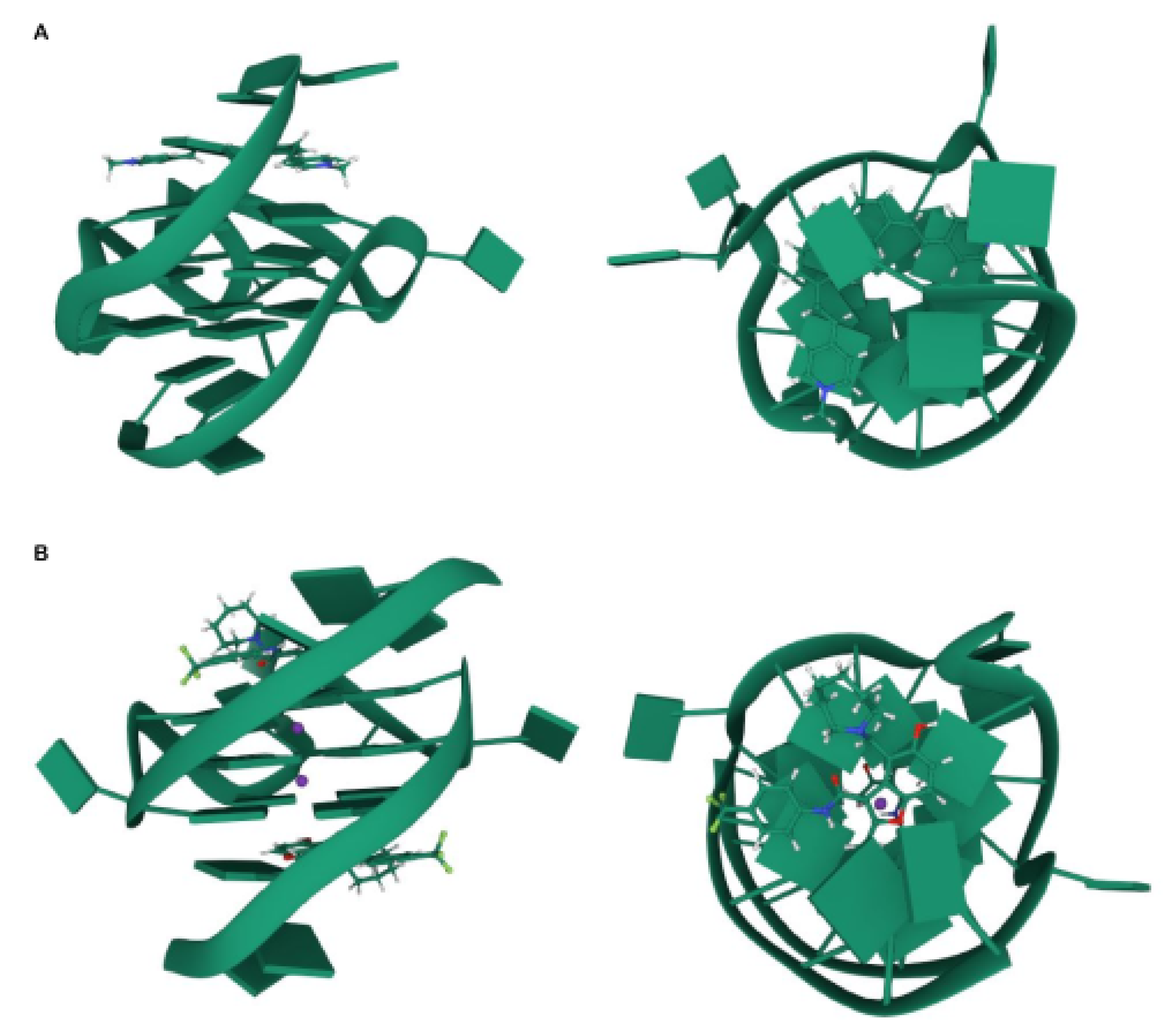 Quadruplex Ligands in Cancer Therapy