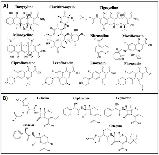 Repurposing of Antimicrobial Agents for Cancer Therapy: What Do We Know?