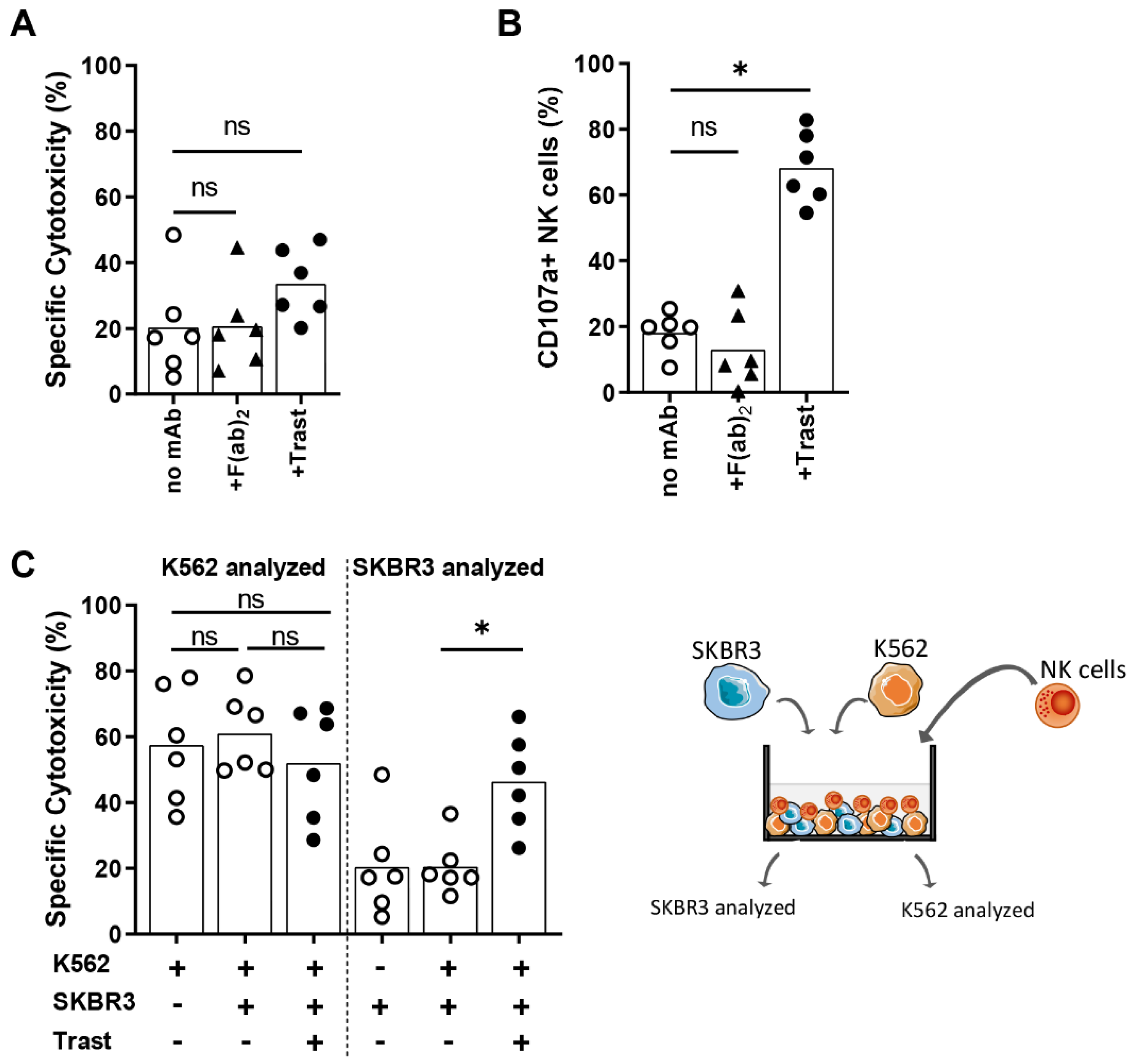 ADCC-Inducing Antibody Trastuzumab and Selection of KIR-HLA Ligand ...