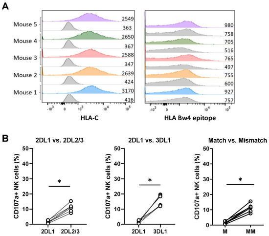 ADCC-Inducing Antibody Trastuzumab and Selection of KIR-HLA Ligand ...