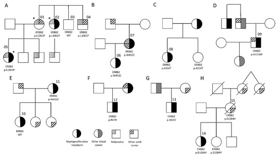Germline ERBB2/HER2 Coding Variants Are Associated with Increased Risk of Myeloproliferative ...