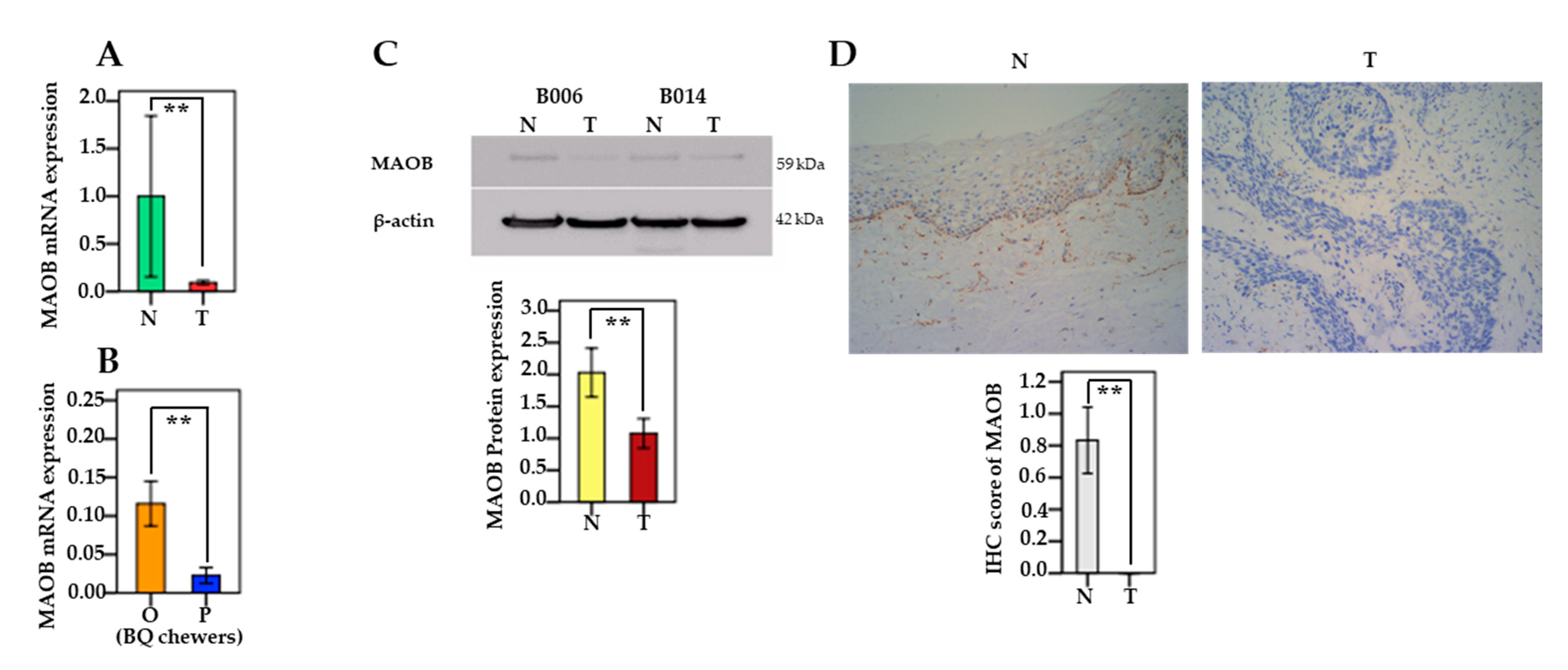 Genetic and Proteinic Linkage of MAO and COMT with Oral Potentially ...