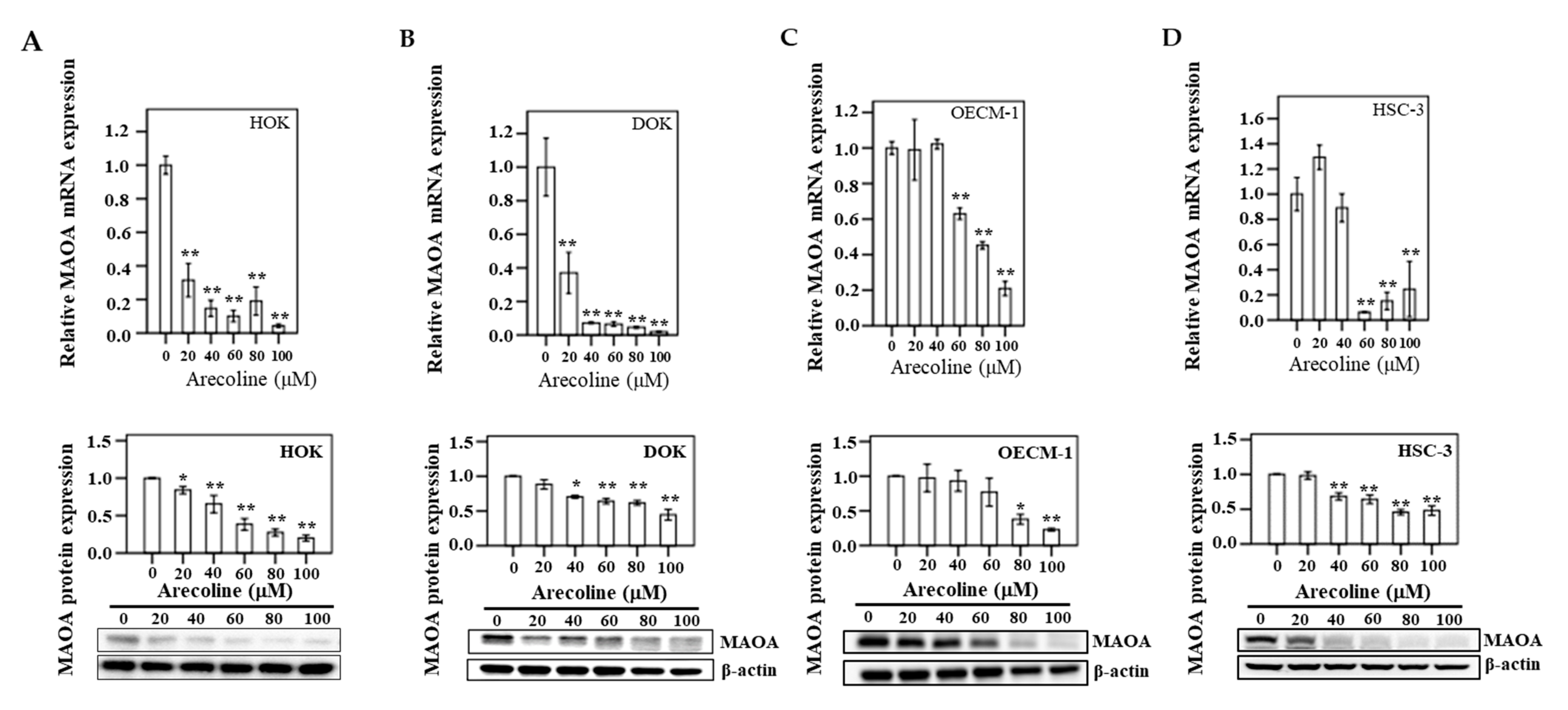 Genetic and Proteinic Linkage of MAO and COMT with Oral Potentially ...