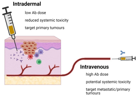 PD-1 and beyond to Activate T Cells in Cutaneous Squamous Cell Cancers ...