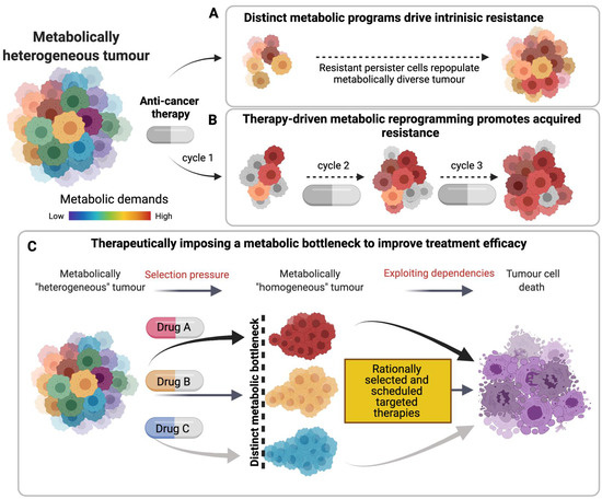 Metabolic Reprogramming: A Friend or Foe to Cancer Therapy?