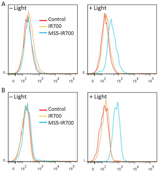 Evaluation of In Vitro Phototoxicity of a Minibody-IR700 Conjugate ...