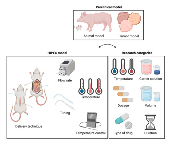 Preclinical In Vivo-Models to Investigate HIPEC; Current Methodologies ...