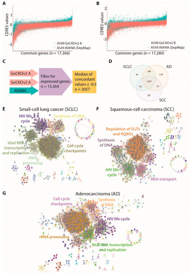 CSNK1A1, KDM2A, and LTB4R2 Are New Druggable Vulnerabilities in Lung Cancer