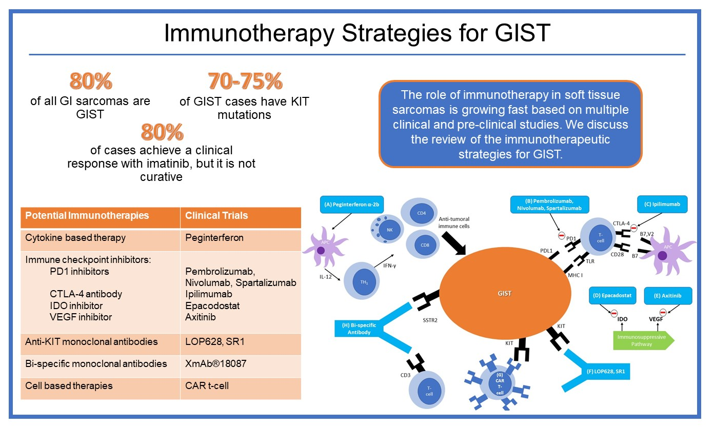 Cancers | Free Full-Text | Immunotherapy Strategies for ...