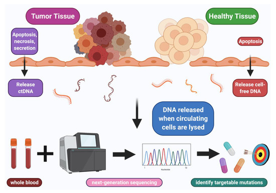 Signed in Blood: Circulating Tumor DNA in Cancer Diagnosis, Treatment ...