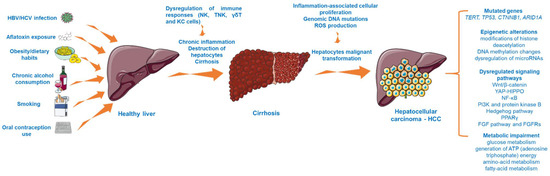Experimental Models of Hepatocellular Carcinoma—A Preclinical Perspective