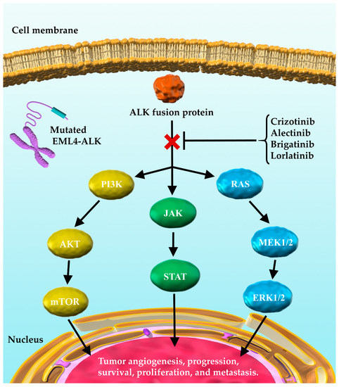 Comparative Efficacy and Safety of Lorlatinib and Alectinib for ALK-Rearrangement Positive ...