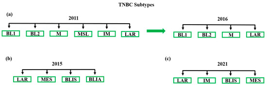 Precision Medicine and Triple-Negative Breast Cancer: Current Landscape ...