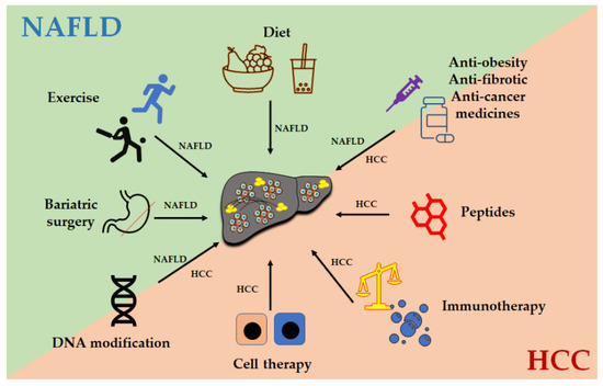 The Emerging Factors and Treatment Options for NAFLD-Related ...