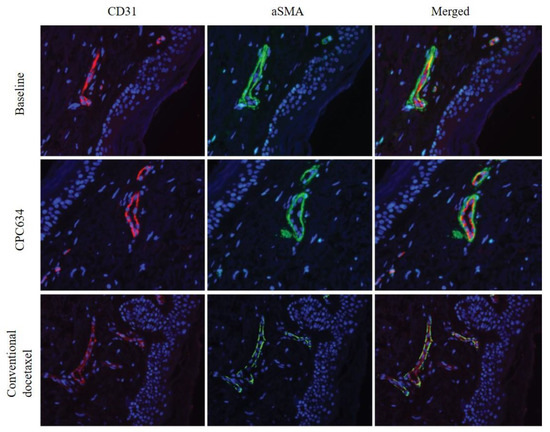 Cancers | Free Full-Text | Docetaxel Skin Exposure and Micronucleation ...