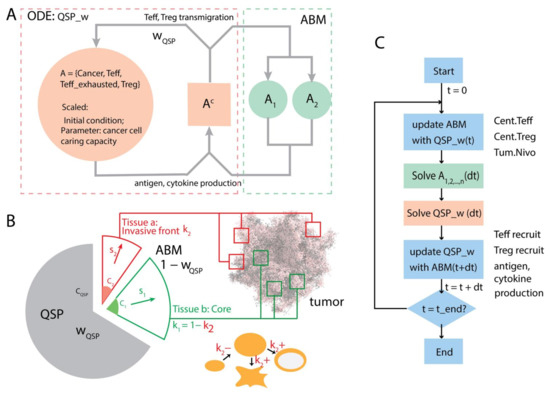 A Spatial Quantitative Systems Pharmacology Platform spQSP-IO for ...