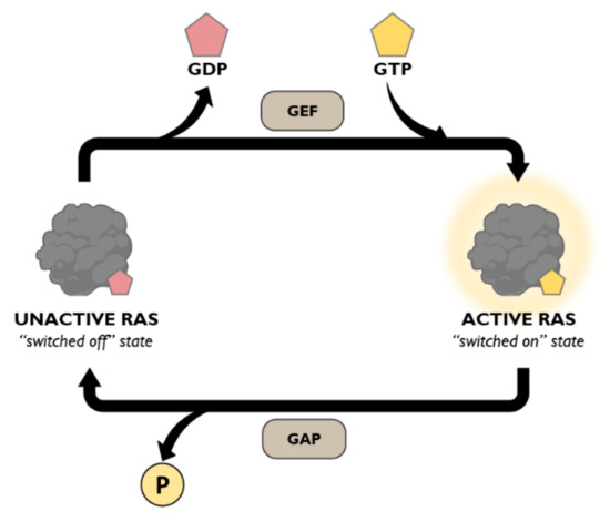 Ras Family of Small GTPases in CRC: New Perspectives for Overcoming ...